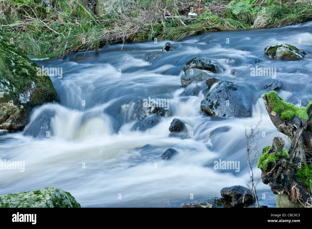 Fasting flowing river with rocks Stock Photo - Alamy