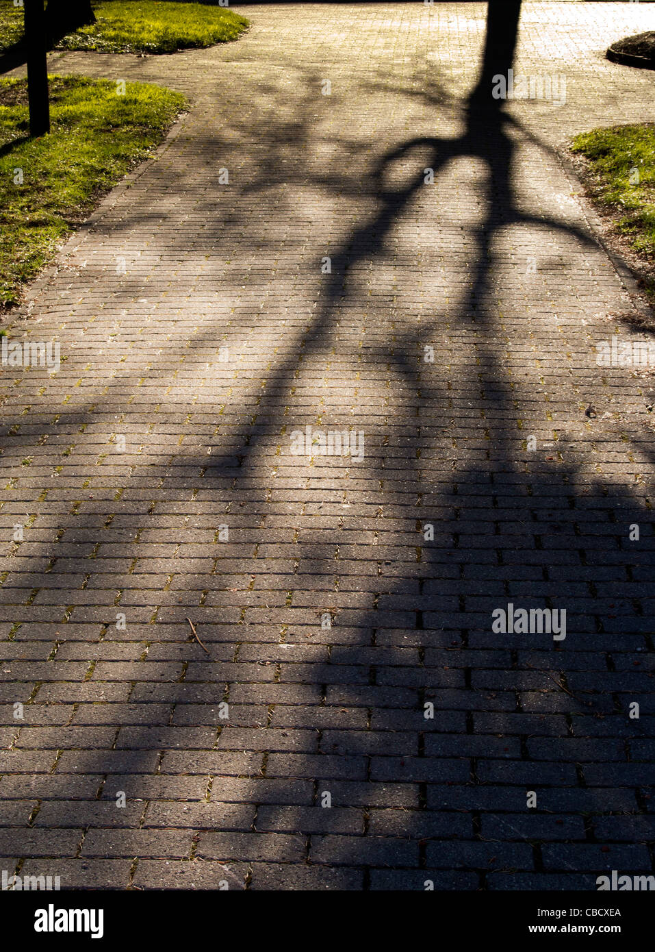 Tree Casting Shadow Stock Photos & Tree Casting Shadow Stock Images - Alamy
