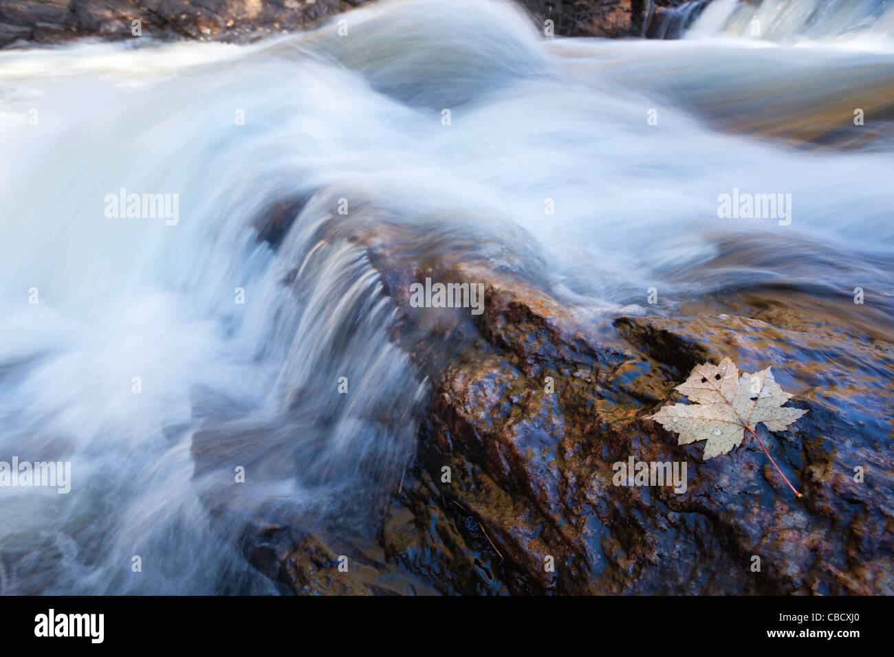 Muskoka Falls High Resolution Stock Photography and Images - Alamy