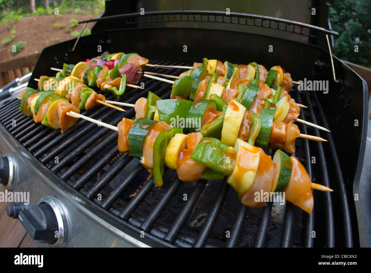 Detailed view of chicken and beef kabobs on a grill Stock Photo - Alamy