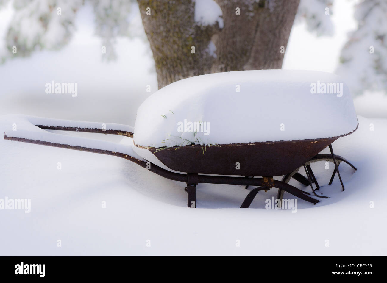 Wheelbarrow filled with snow, Green Valley Lake, California USA Stock ...