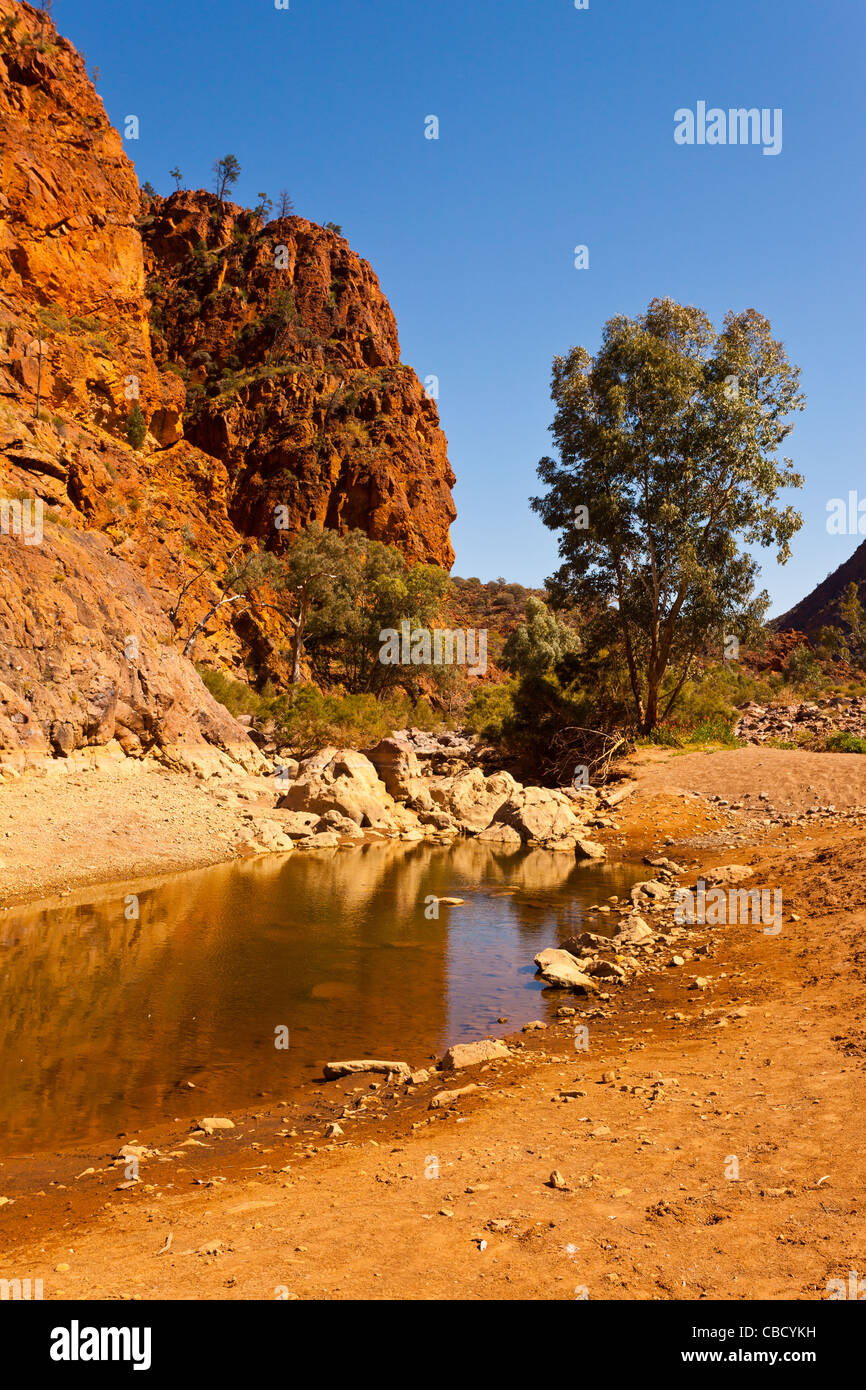 Arkaroola Wilderness Sanctuary High Resolution Stock Photography and ...