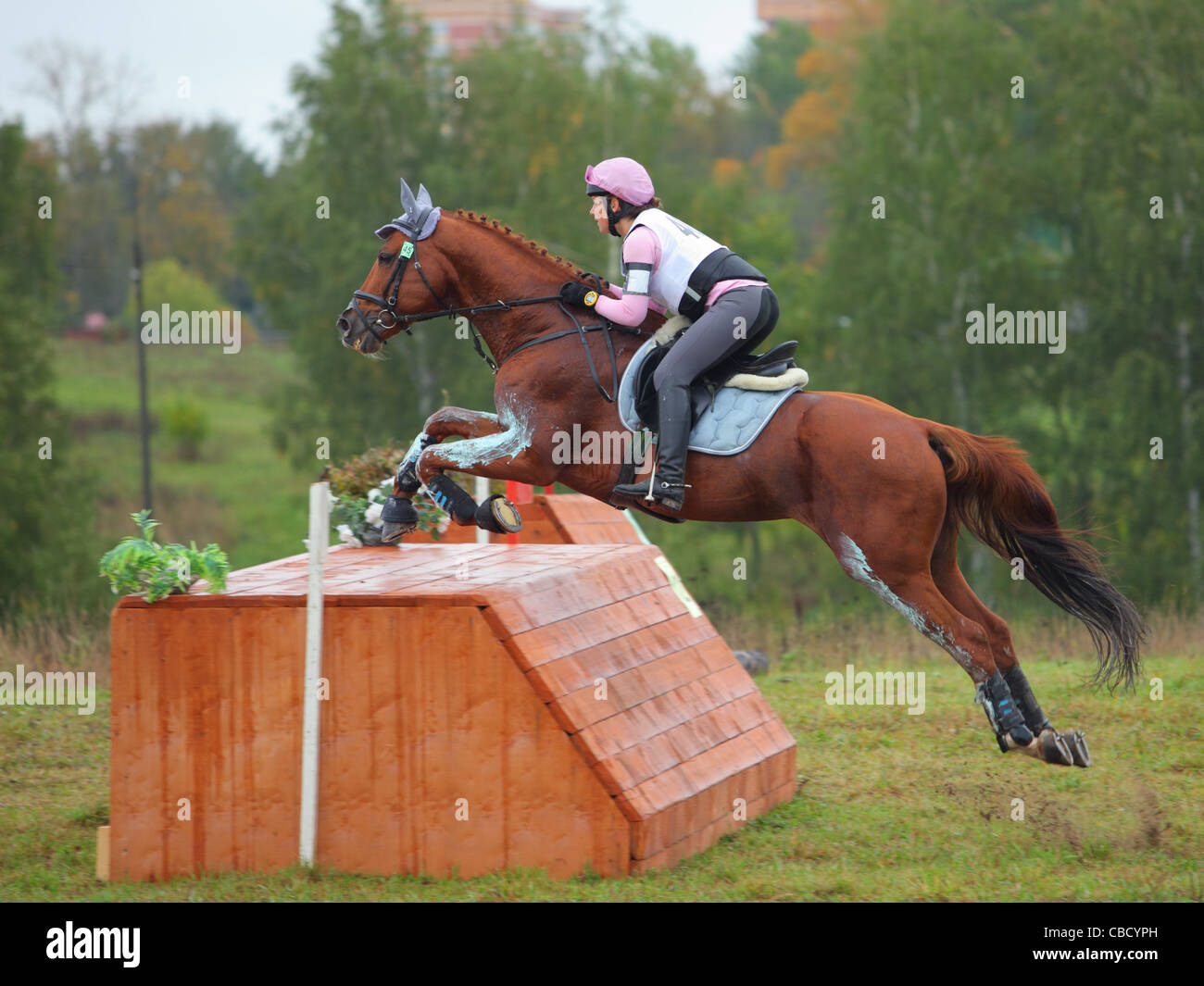 Show jumping poles hi-res stock photography and images - Alamy