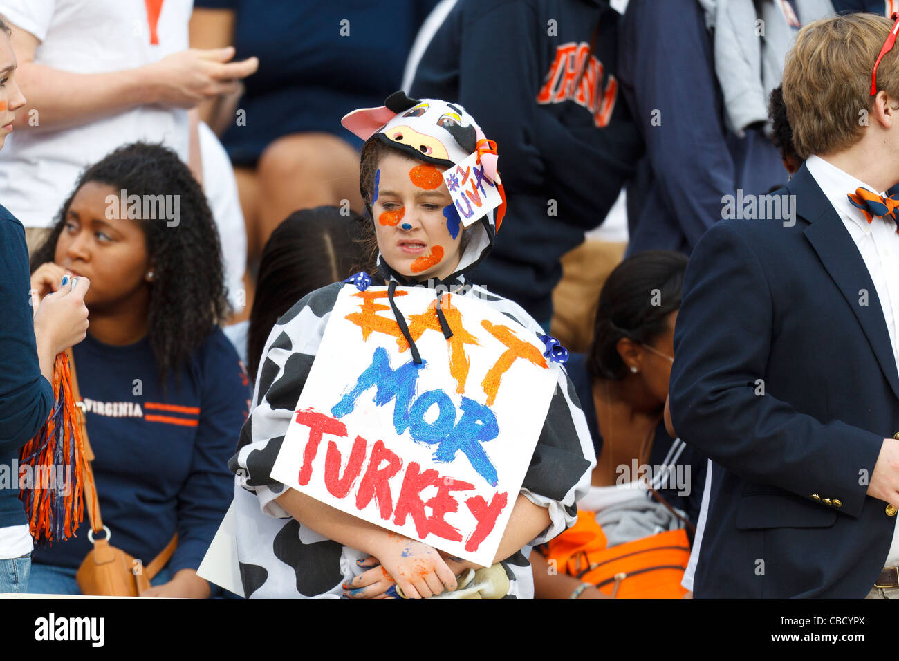 Female Virginia Cavaliers fan in the stands dressed as a cow with a ...