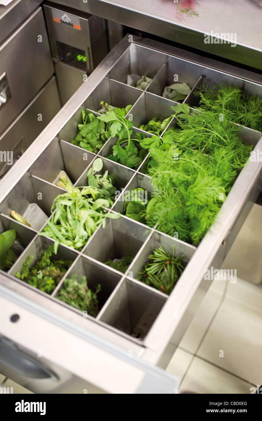 Trays of bulbs hi-res stock photography and images - Alamy