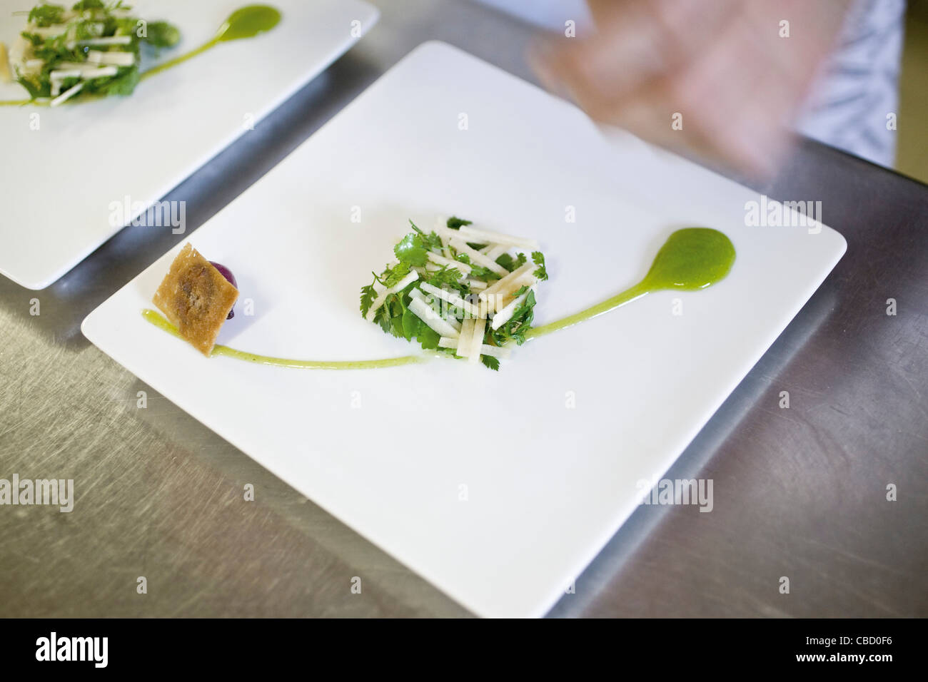 Chef dressing plates for gourmet dish Stock Photo - Alamy