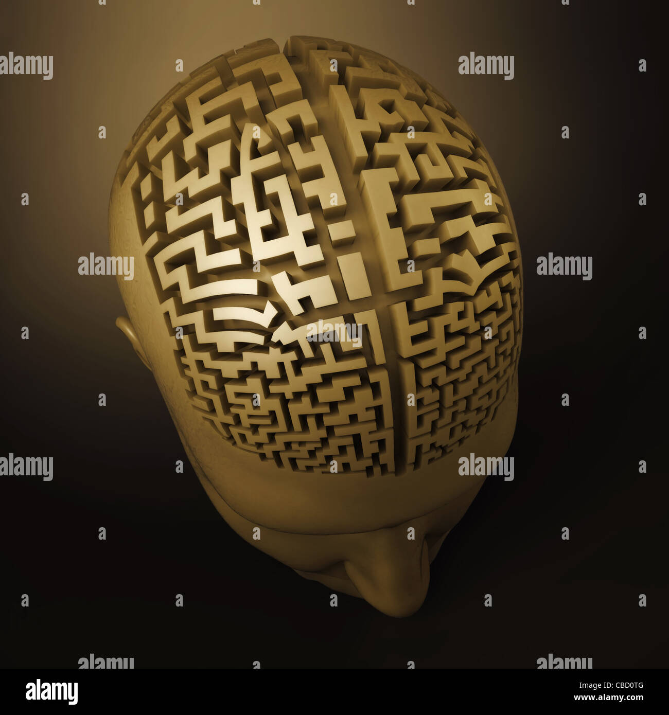 Brain quest hi-res stock photography and images - Alamy