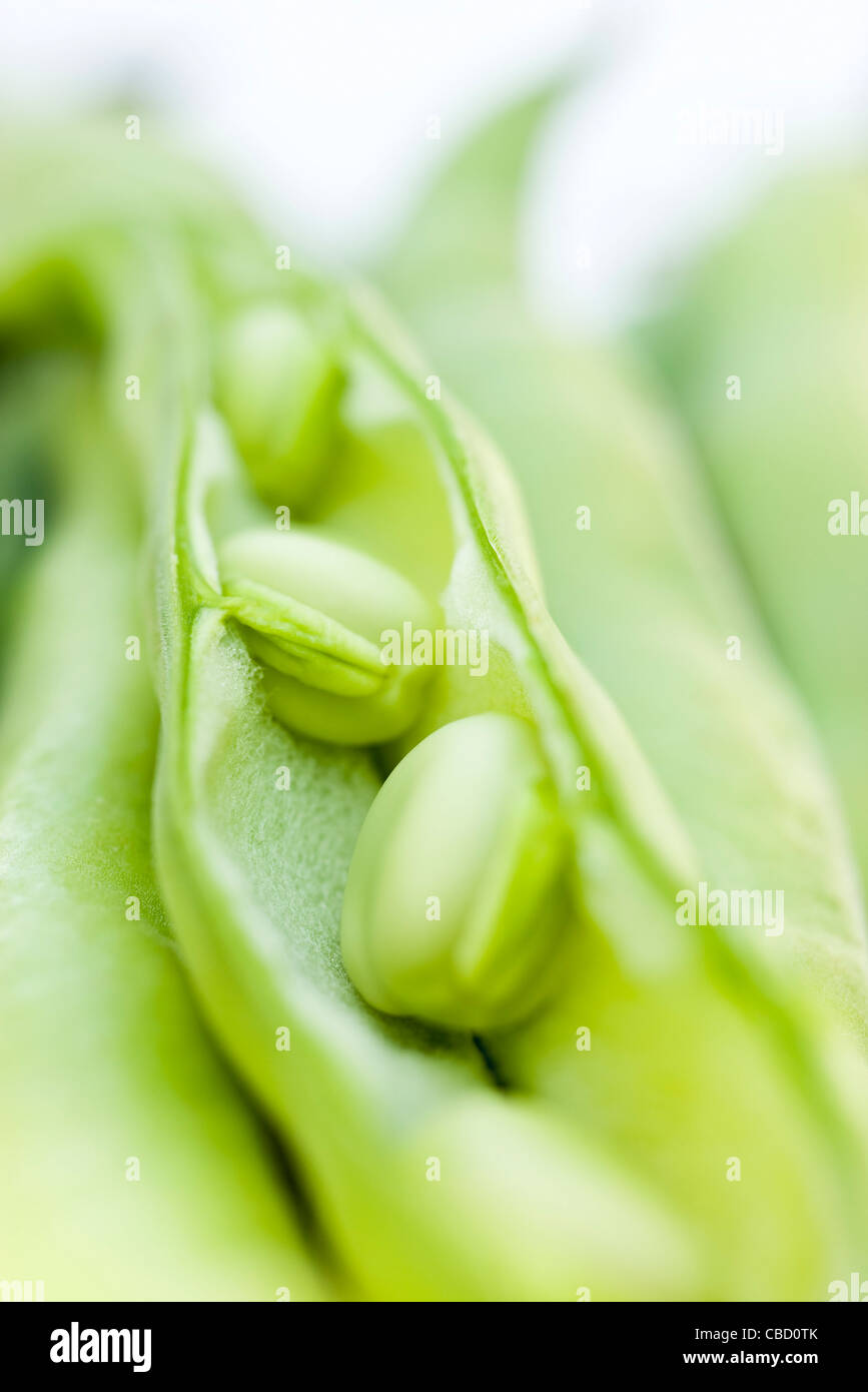 Three pea pods hi-res stock photography and images - Alamy