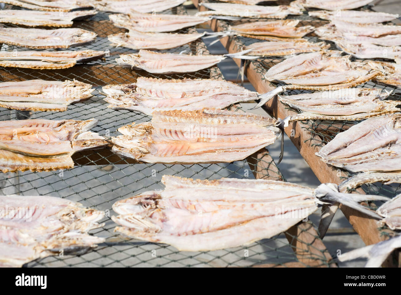 Fish drying on frame hi-res stock photography and images - Alamy