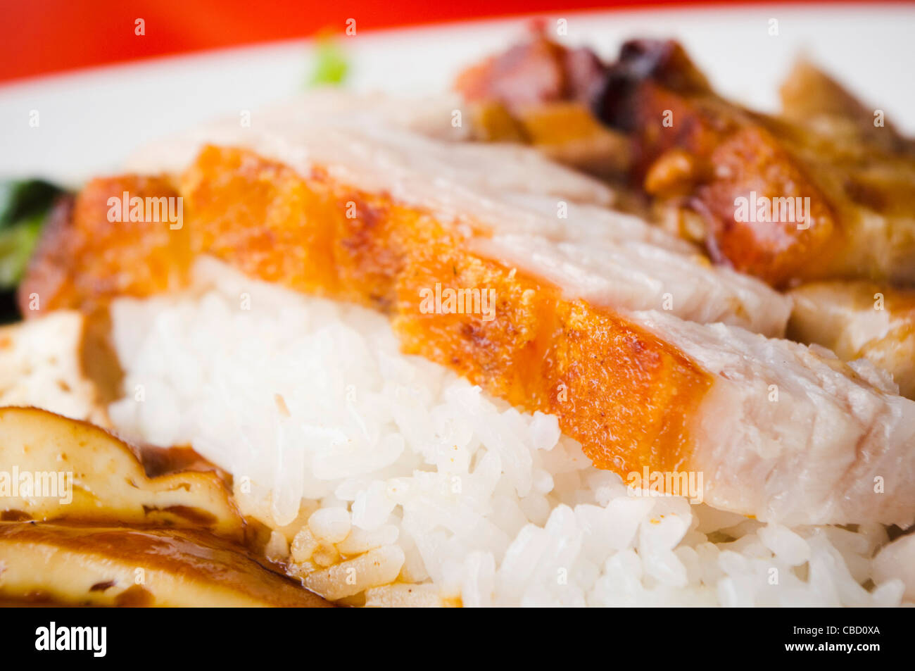 chinese, hong kong style roasted pork with rice, popular in asian ...