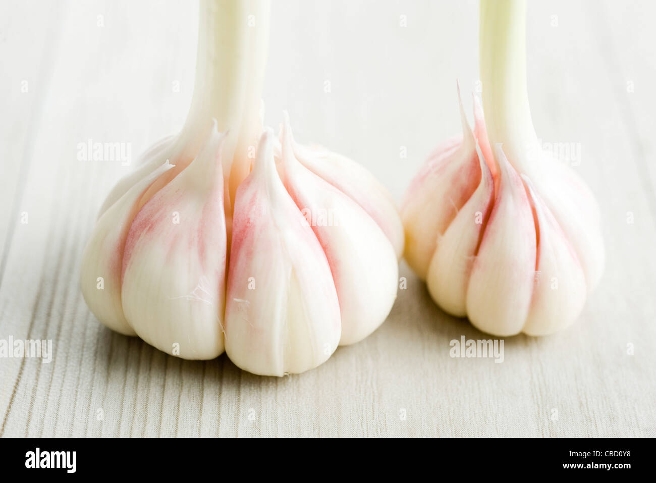 New lifes hi-res stock photography and images - Alamy