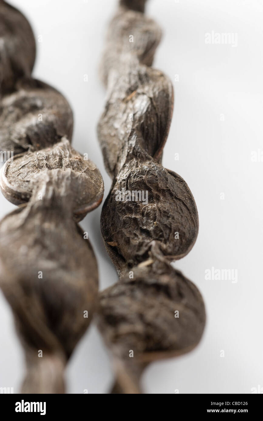 Dried pea pods Stock Photo - Alamy