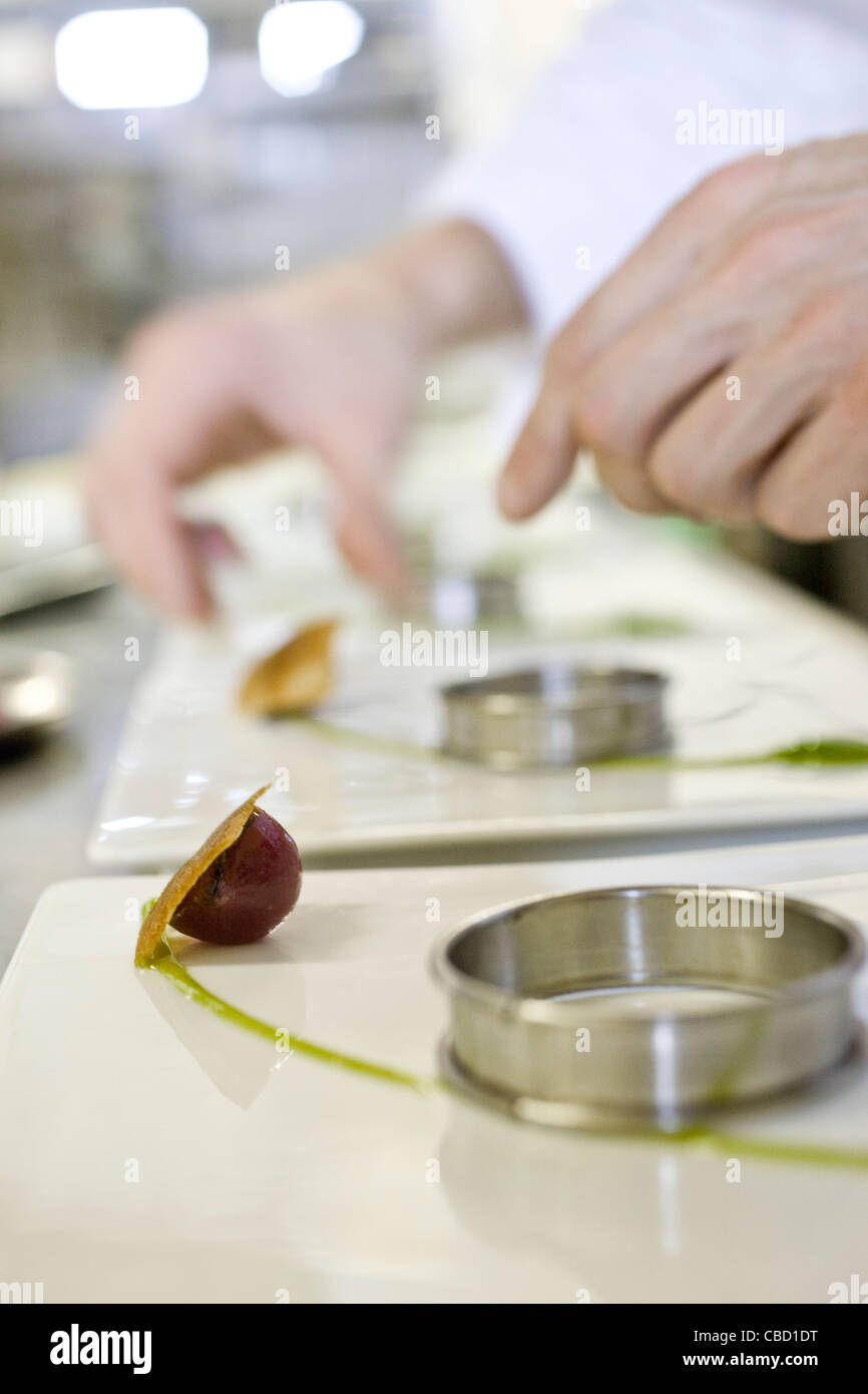 Chef dressing plates for gourmet dish Stock Photo - Alamy