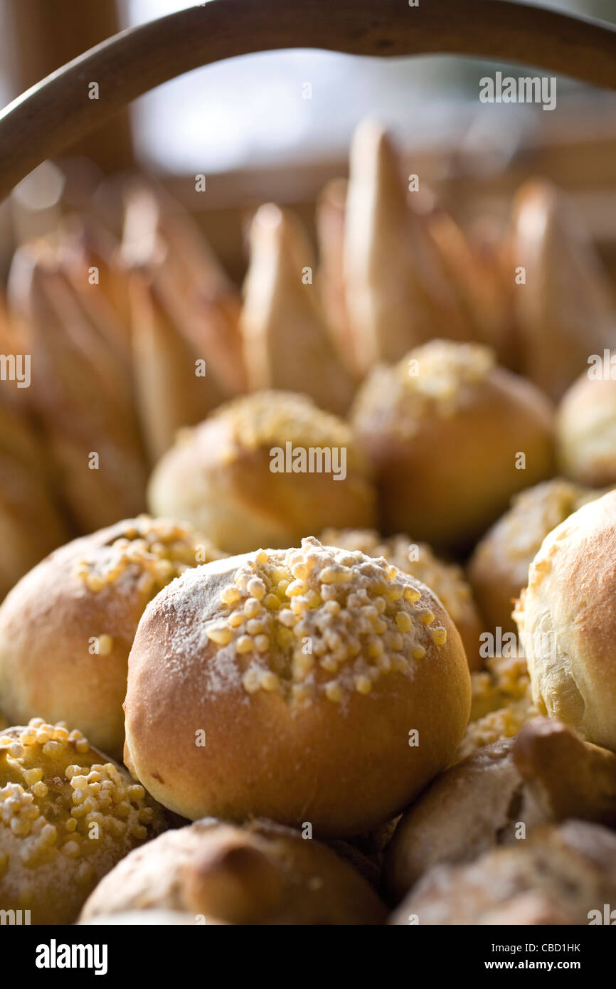Tight bun hi-res stock photography and images - Alamy