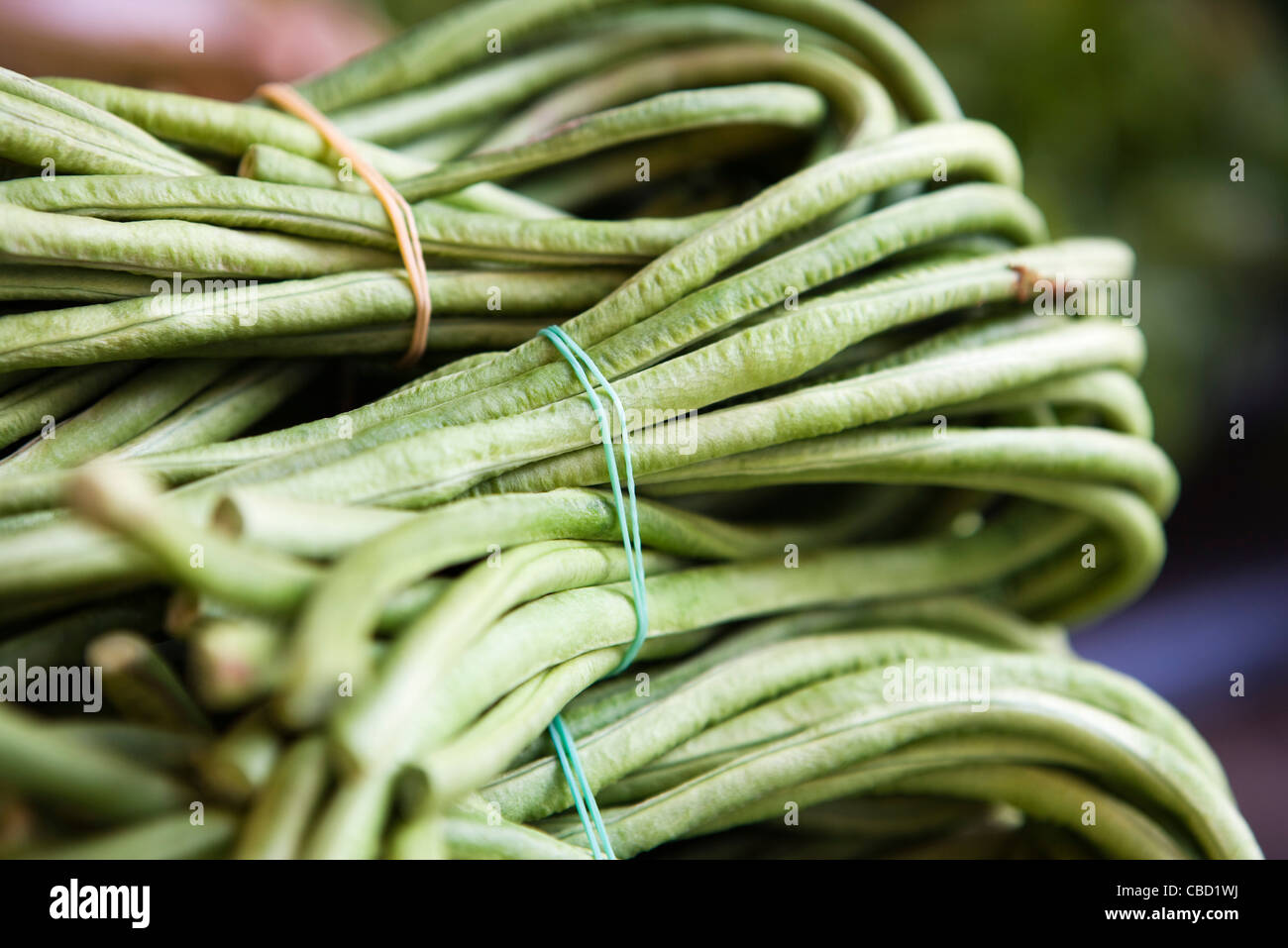 Chinese long beans Stock Photo - Alamy