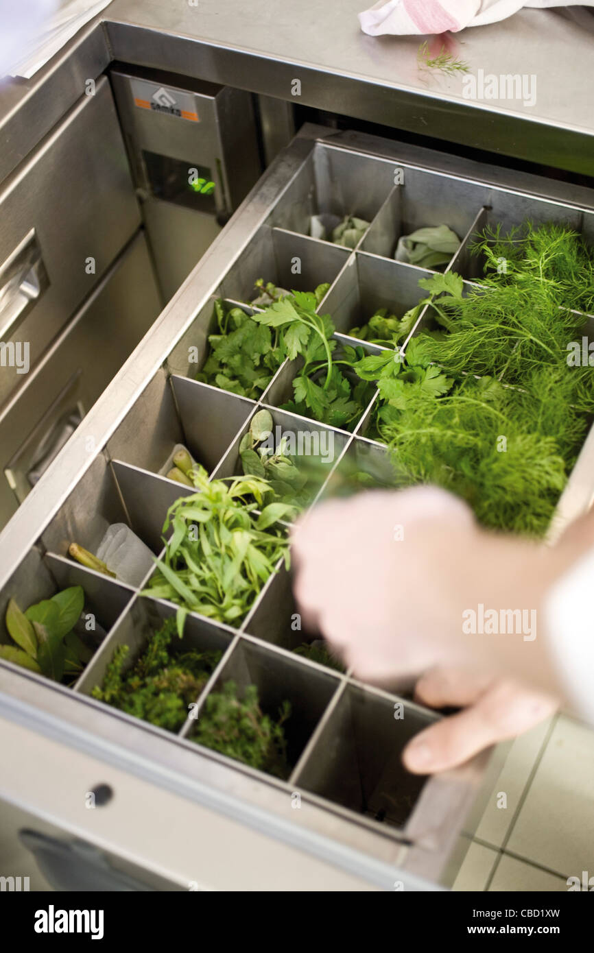 Tray of fresh herbs Stock Photo - Alamy