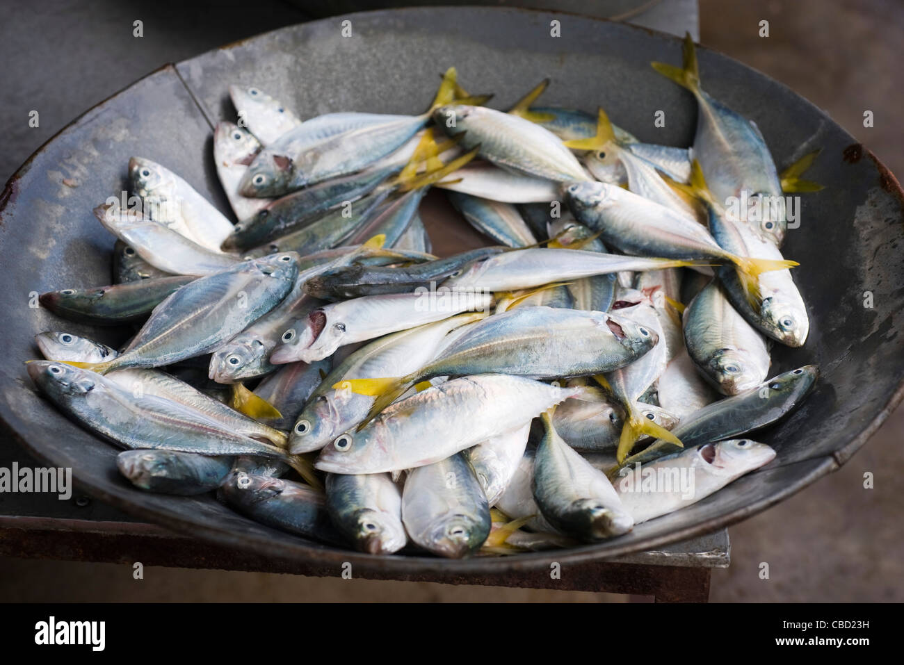 Fresh fish in bowl Stock Photo - Alamy