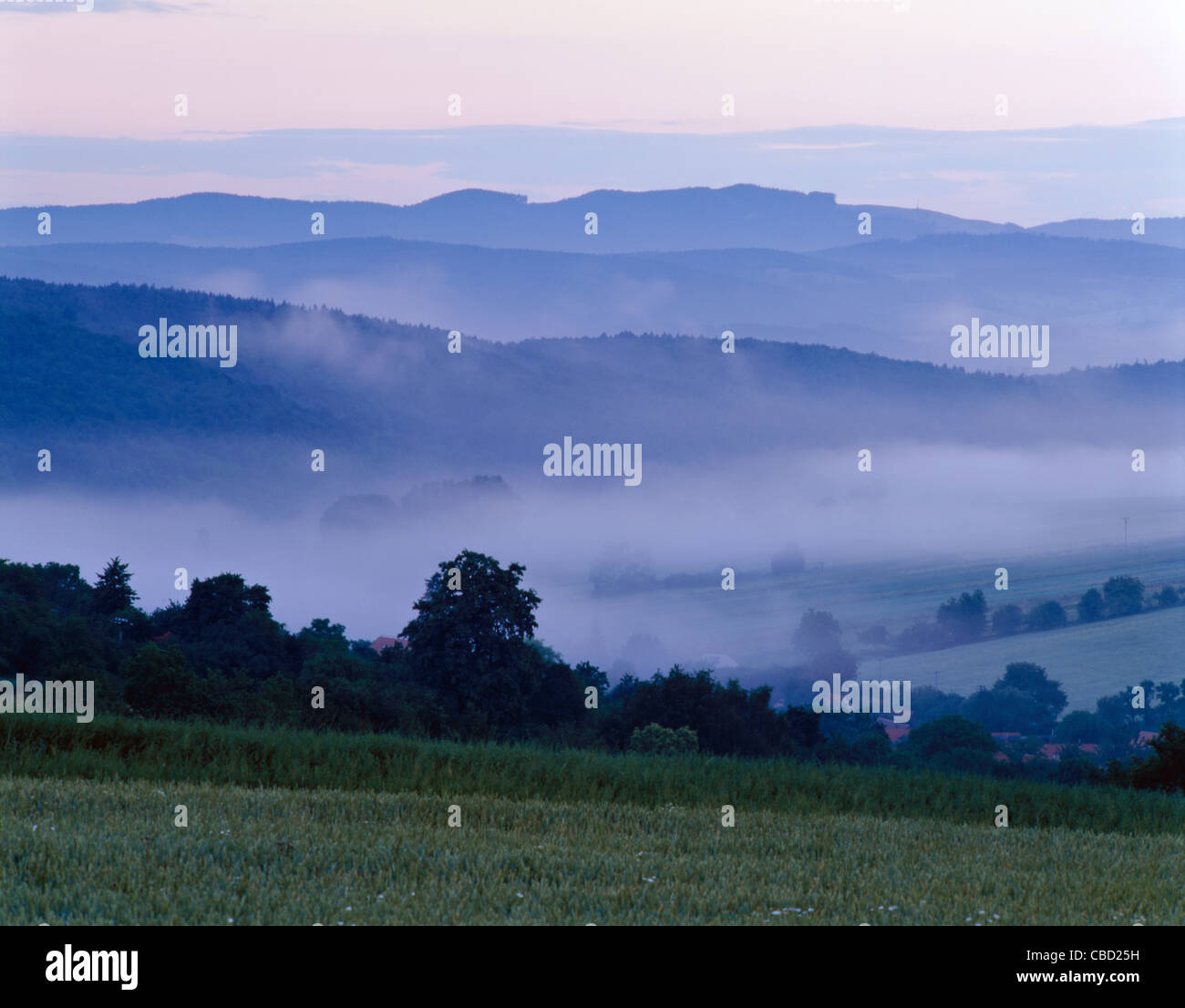 landscape, fog, hills, trees Stock Photo - Alamy