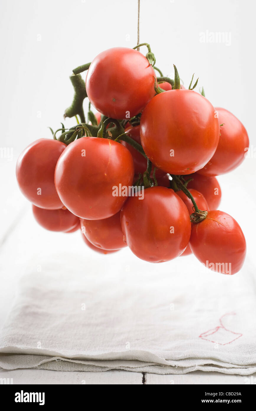 Vine tomatoes hanging from string Stock Photo - Alamy