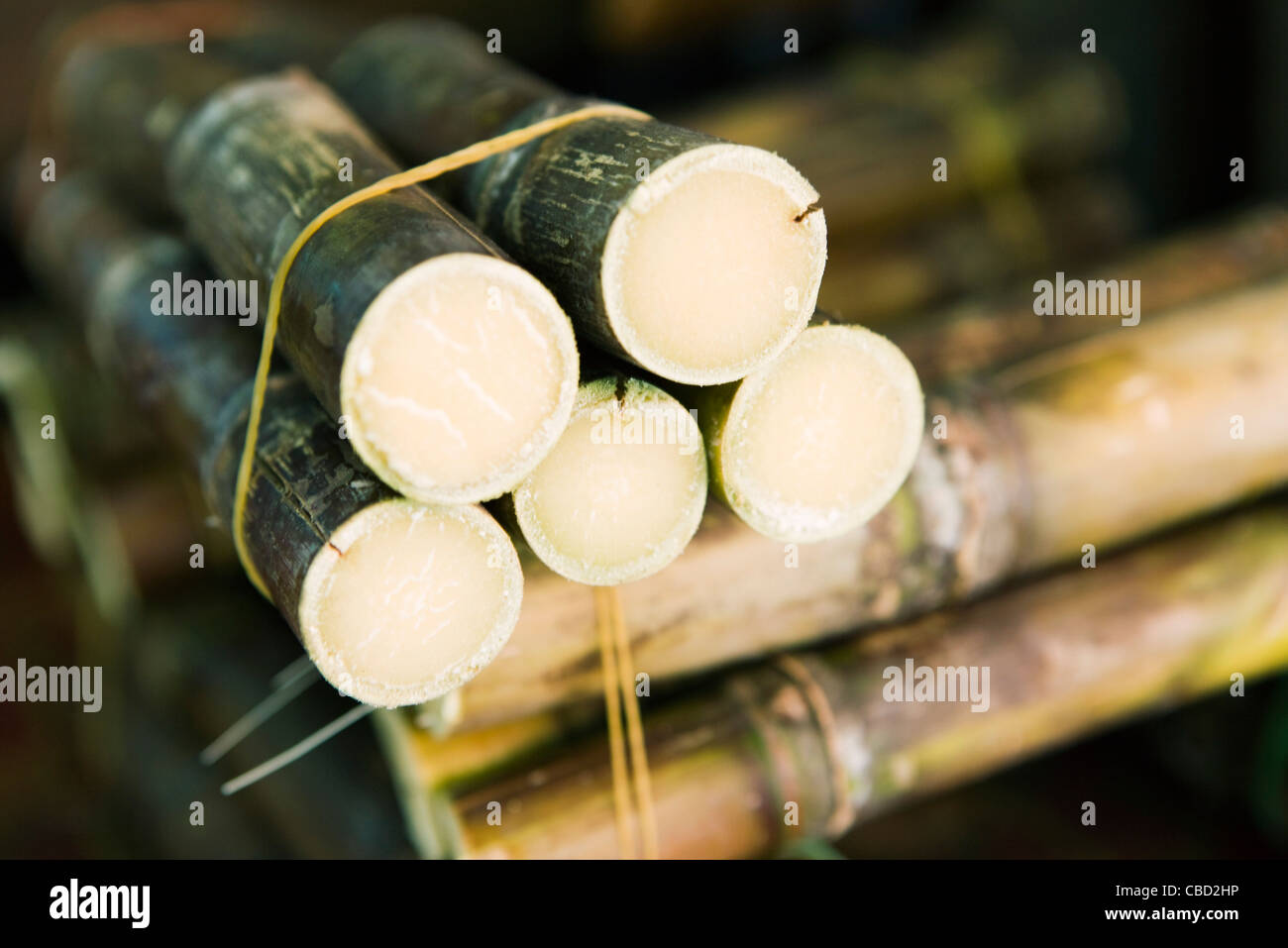 Bunch of bamboos hi-res stock photography and images - Alamy