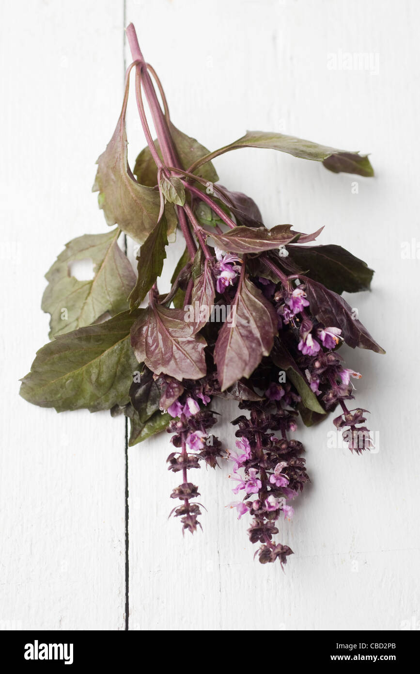 Basil images hi-res stock photography and images - Alamy