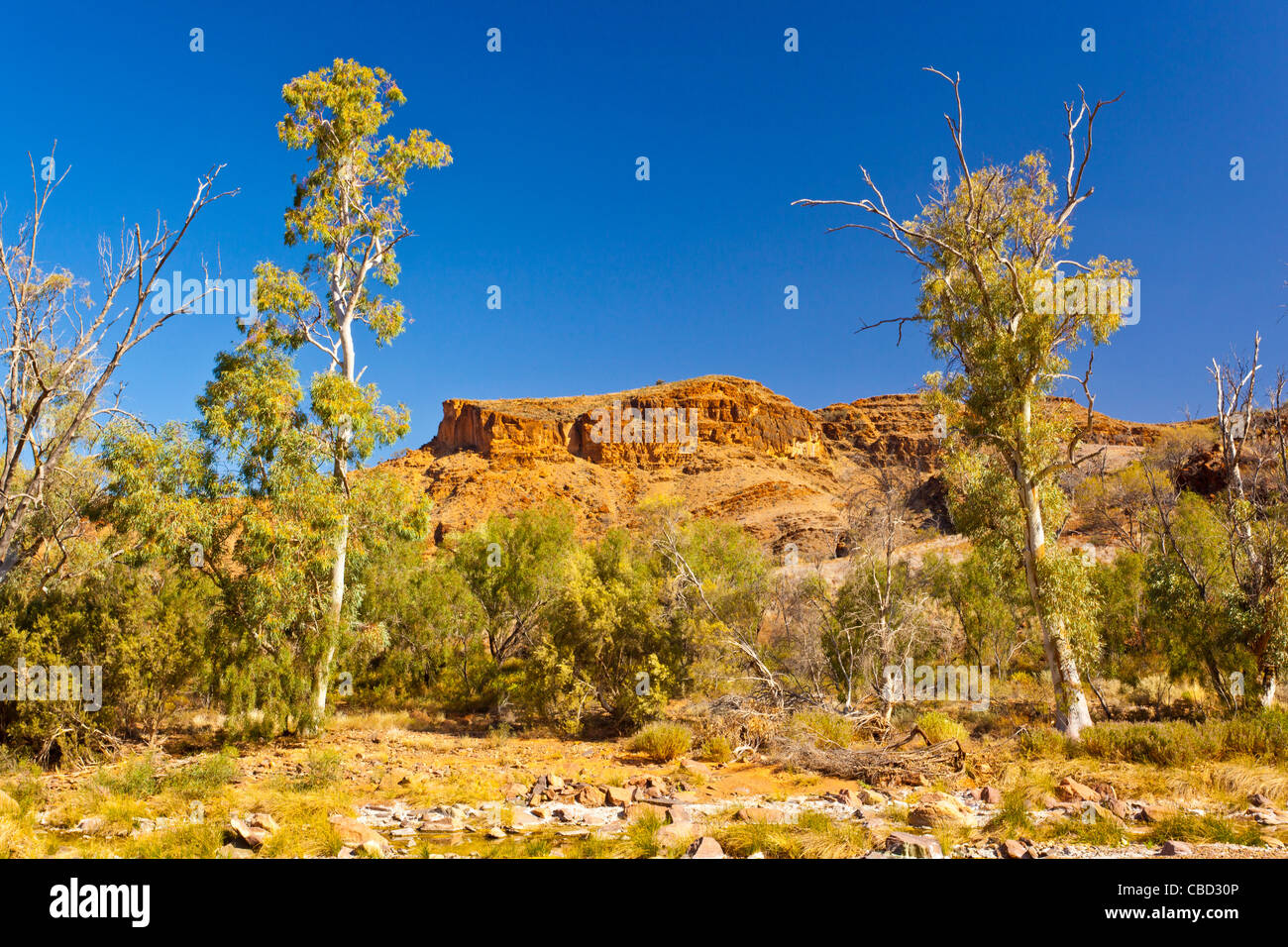 Mount Chambers Creek in Chambers Gorge north of Blinman in the Flinders ...