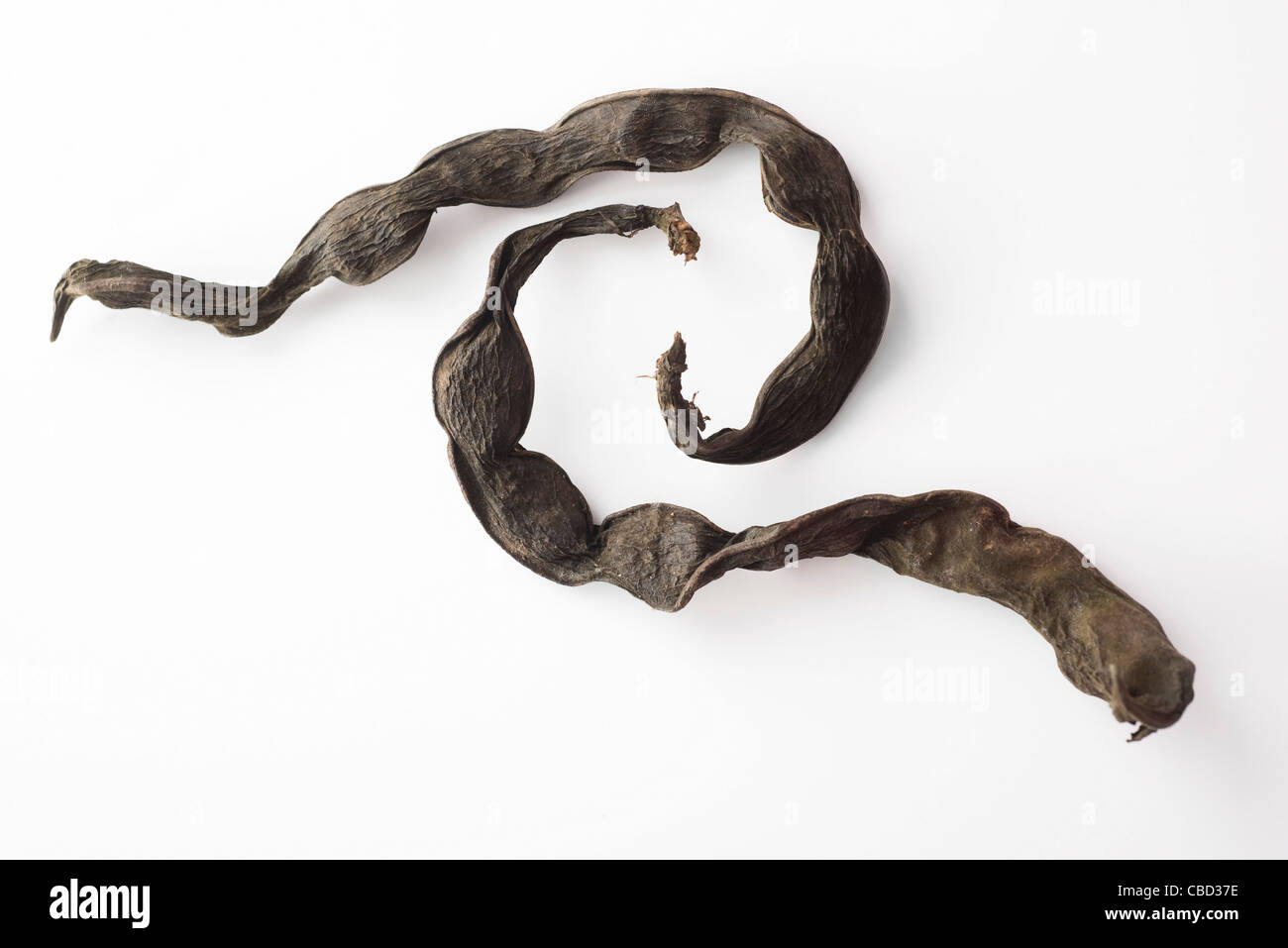 Dried pea pods Stock Photo - Alamy