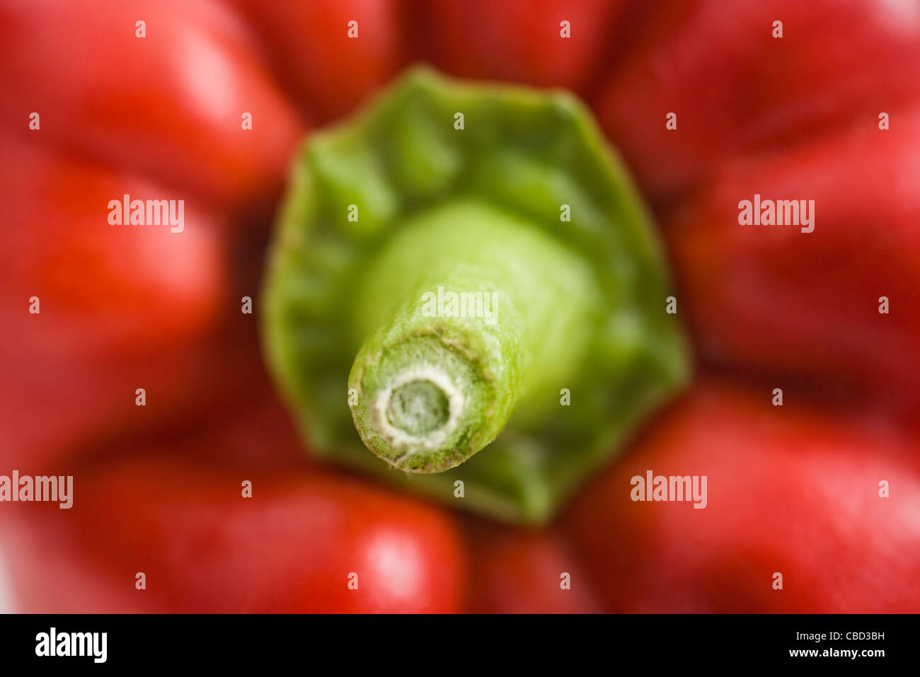 Red bell pepper Stock Photo - Alamy