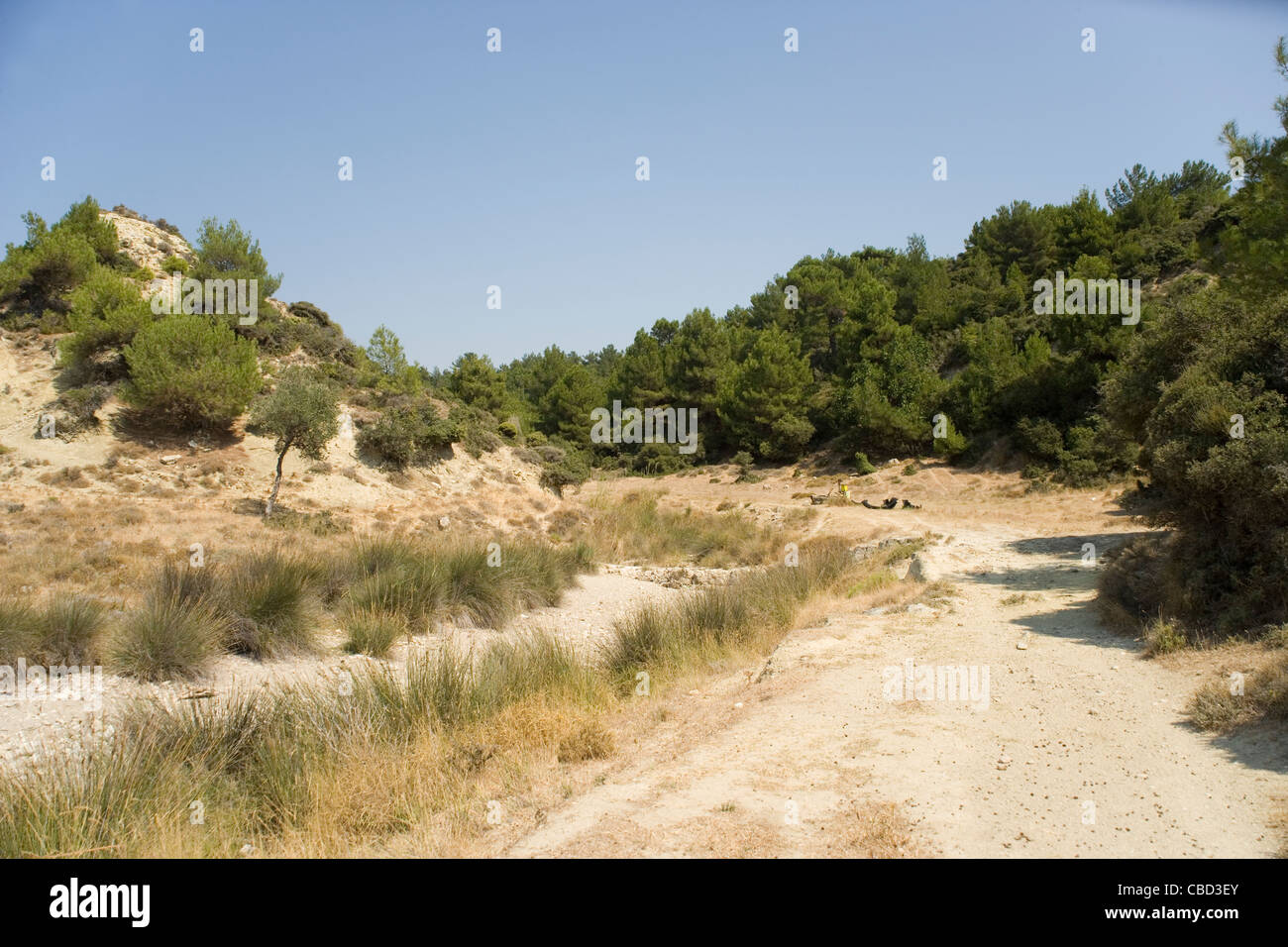 Gully Beach and Gully Ravine scene of fighting in the 1915 campaign in ...