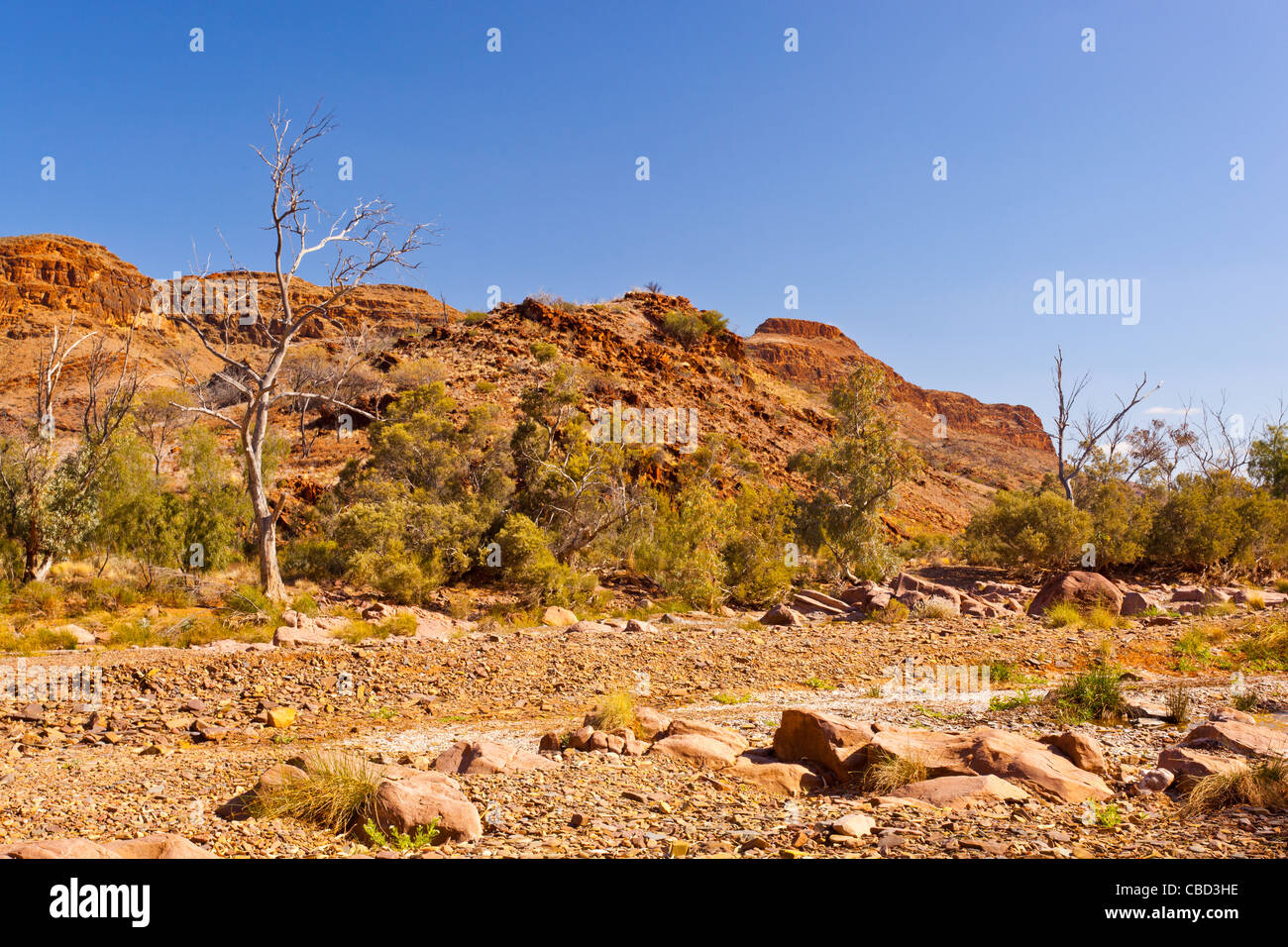 Mount Chambers Creek in Chambers Gorge north of Blinman in the Flinders ...