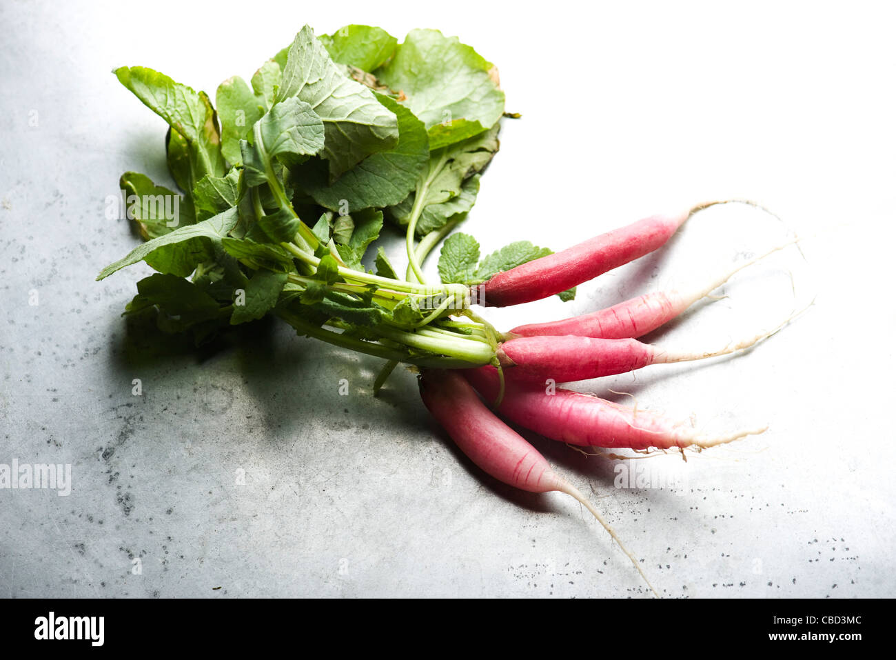 Cut radish leaves hi-res stock photography and images - Alamy