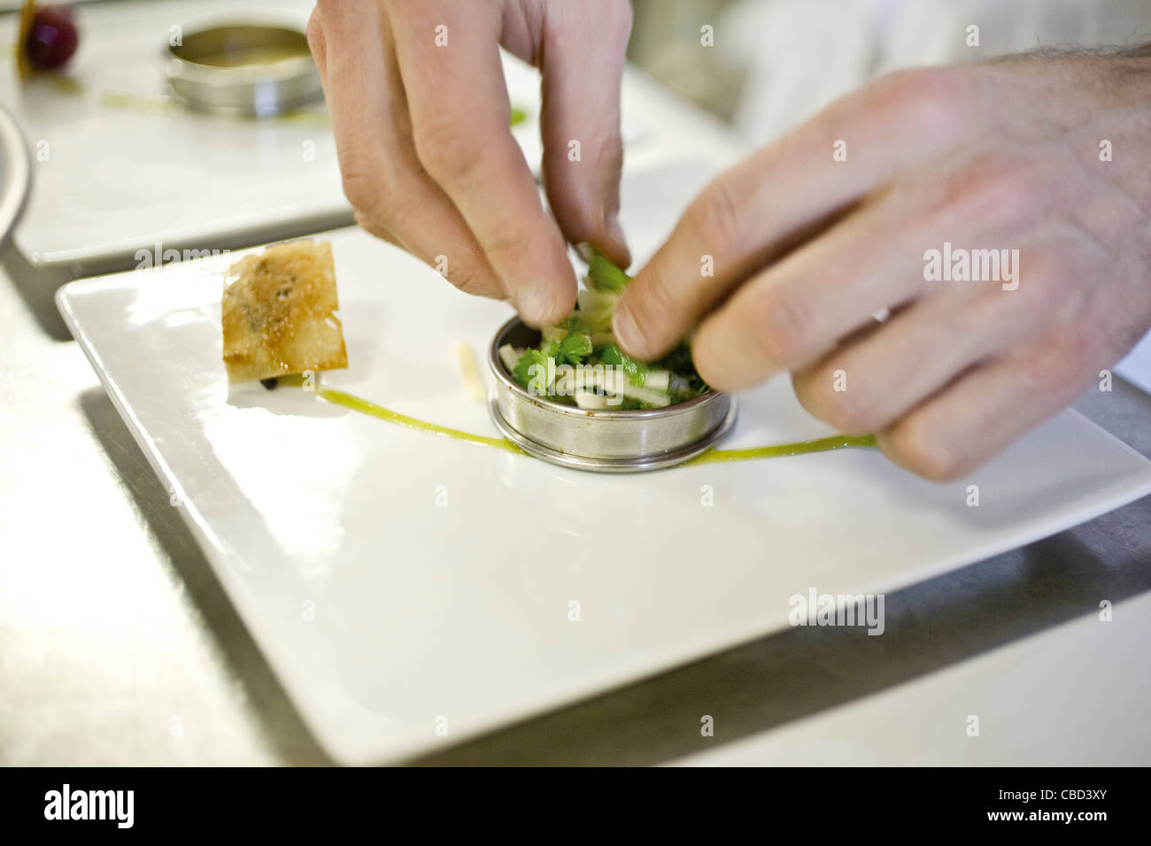 Chef dressing plates for gourmet dish Stock Photo - Alamy