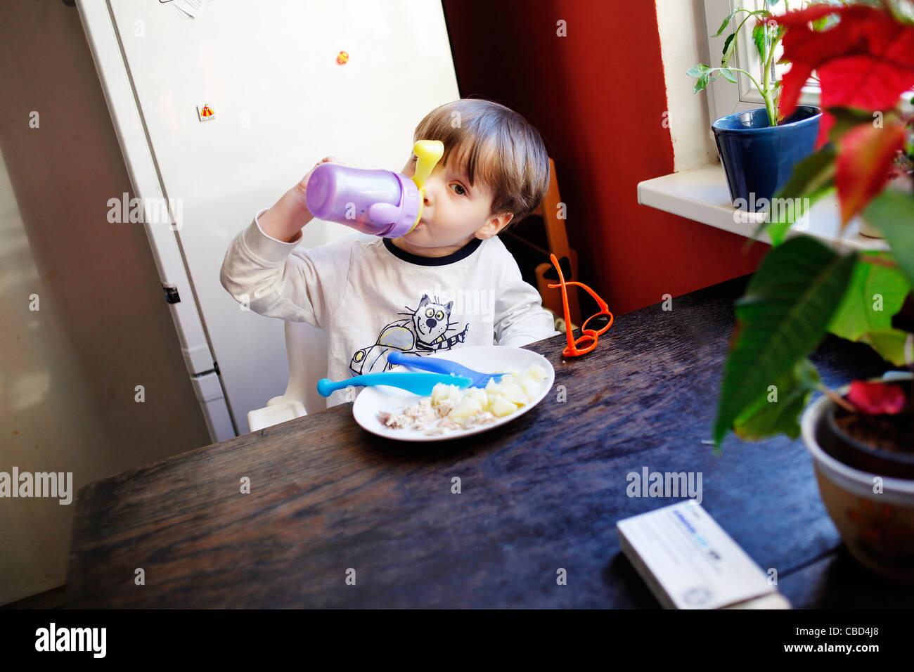 A boy is eating and drinking at the table. (CTK Photobank/Josef Horazny ...