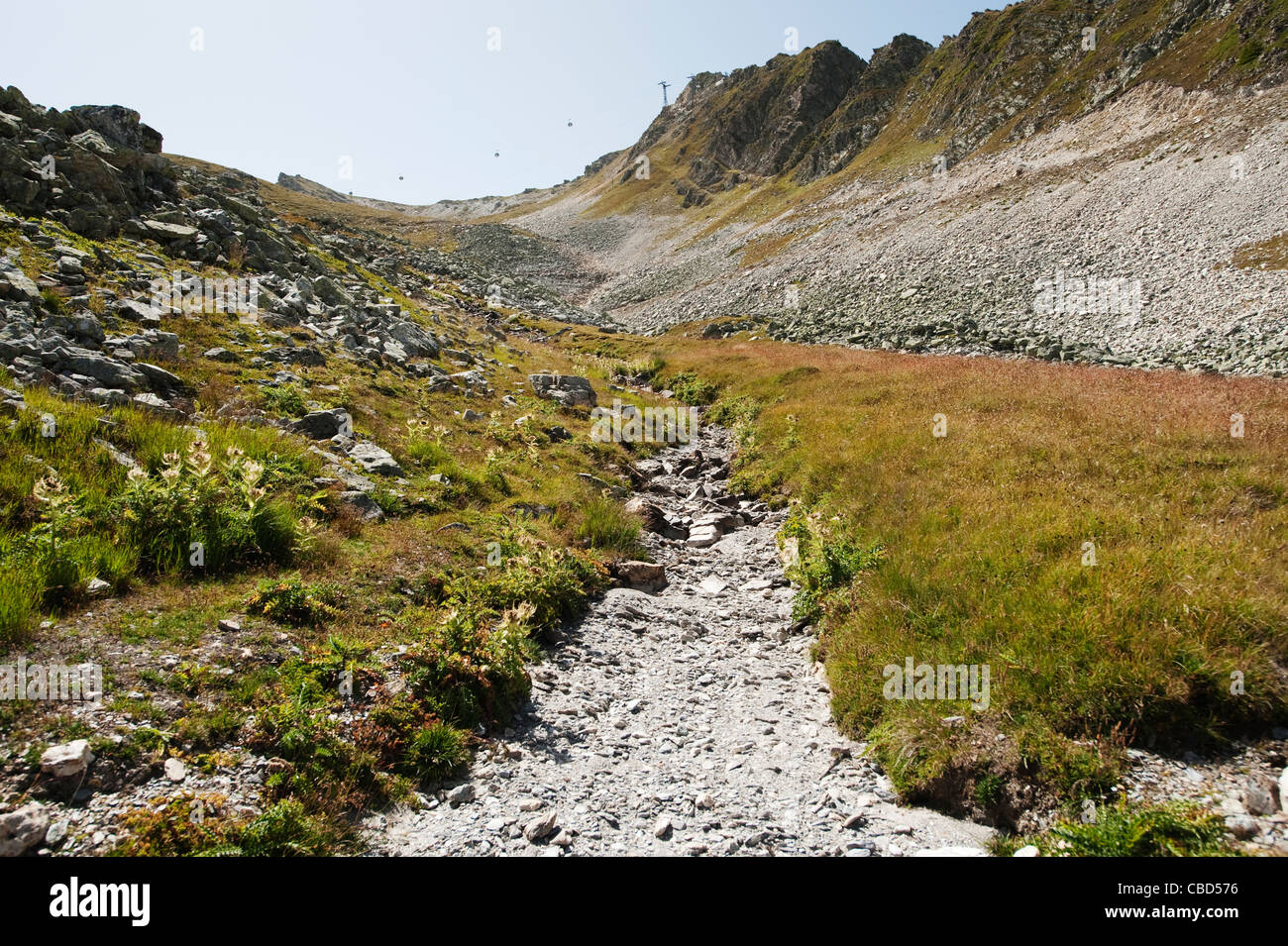 Dried stream bed hi-res stock photography and images - Alamy