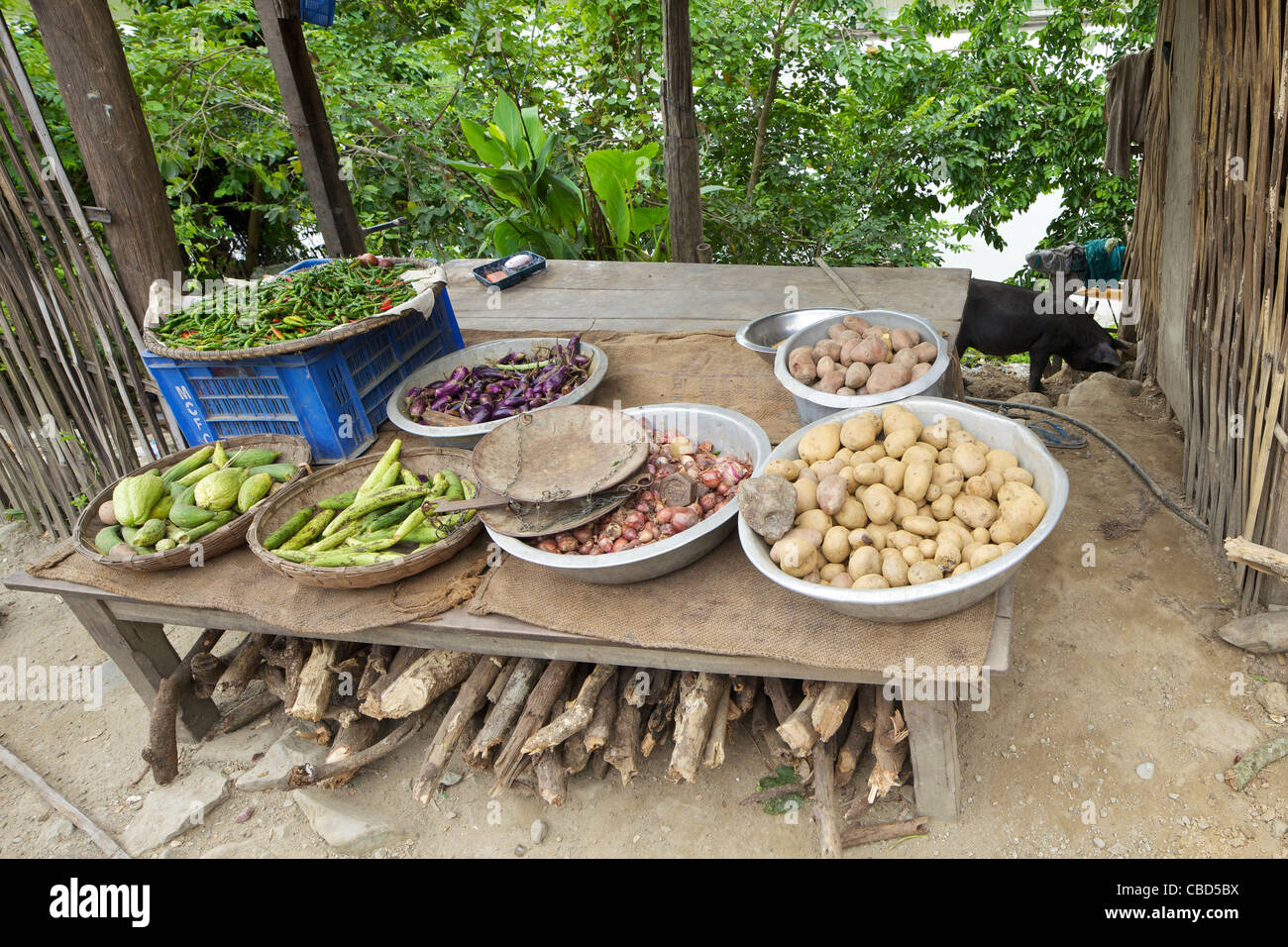 Terai nepal hi-res stock photography and images - Alamy
