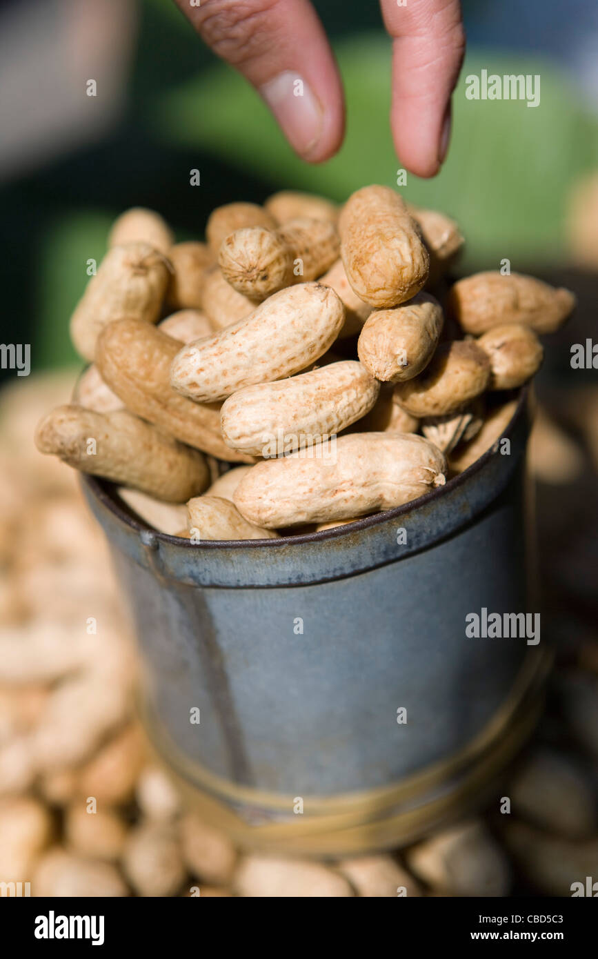 Peanut bucket hi-res stock photography and images - Alamy