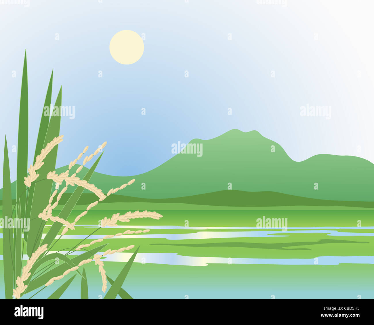 Paddy Field Cartoon Background