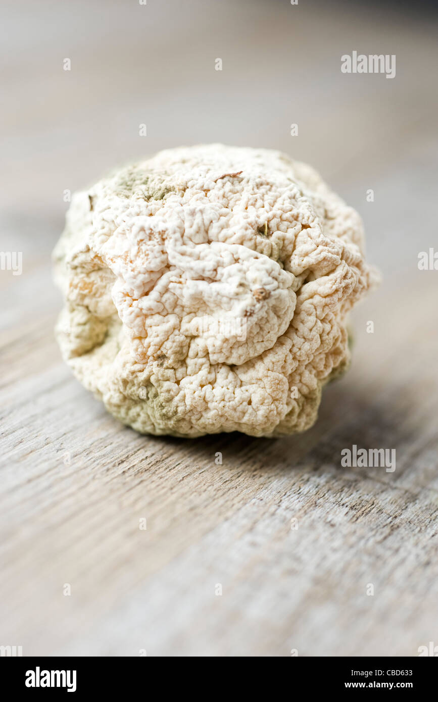 Moldy fruit hi-res stock photography and images - Alamy