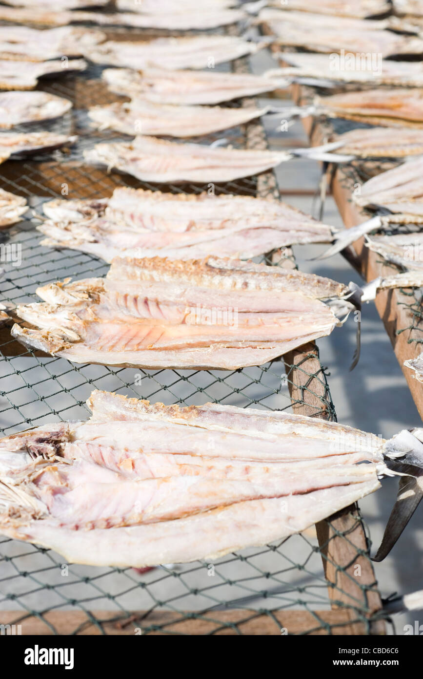 Fish drying on rack Stock Photo - Alamy