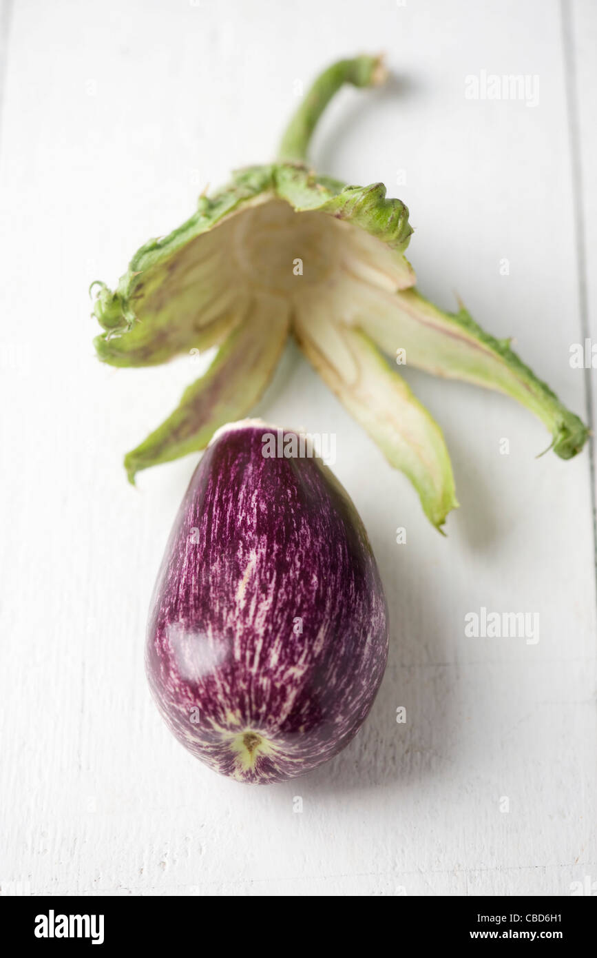 Eggplant Stem
