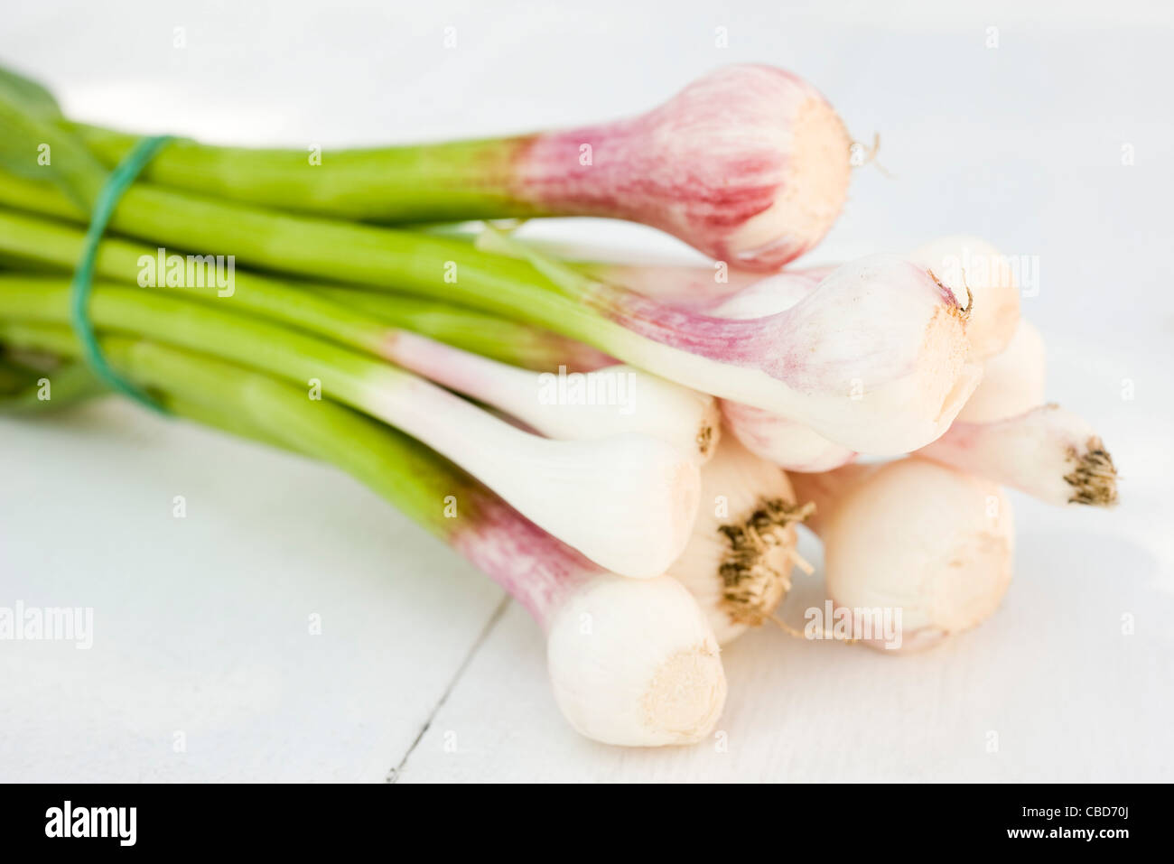 One shallot hi-res stock photography and images - Alamy
