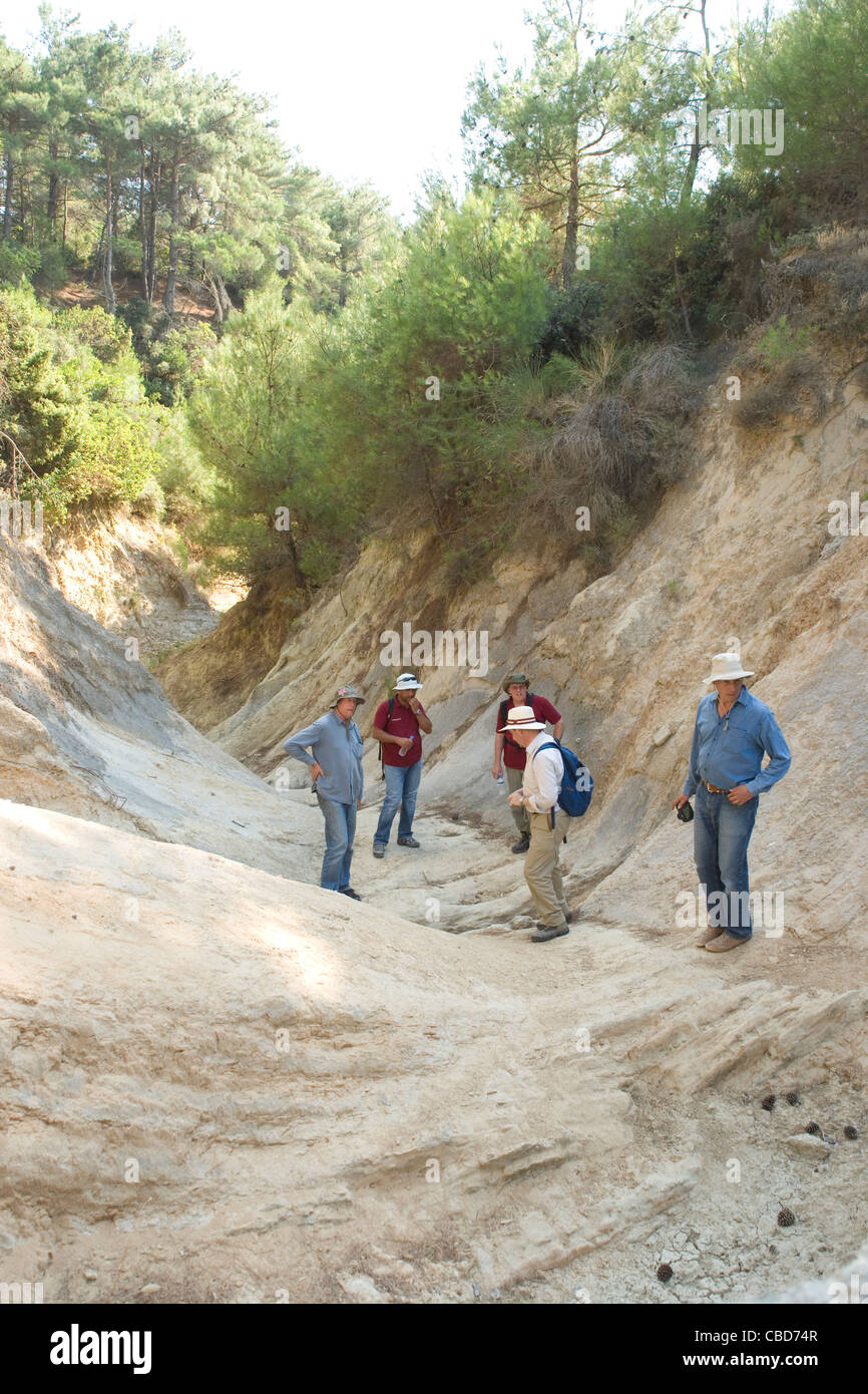 Gully Ravine and Redoubt C scene of fighting in the 1915 campaign in ...
