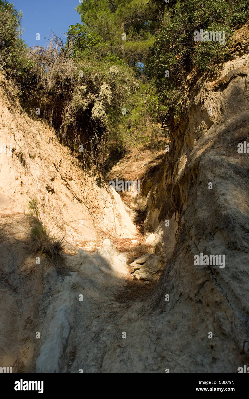 Gully Ravine and trench remains scene of fighting in the 1915 campaign ...