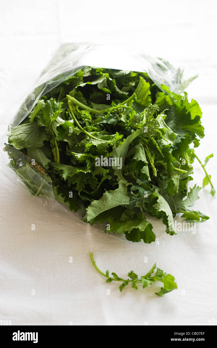 Plain plastic bag hi-res stock photography and images - Alamy