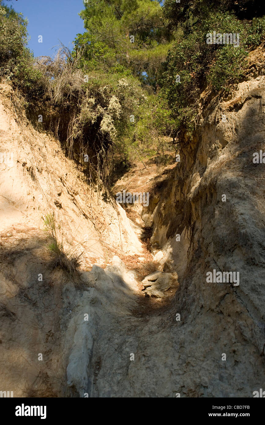 Gully Ravine and trench remains scene of fighting in the 1915 campaign ...