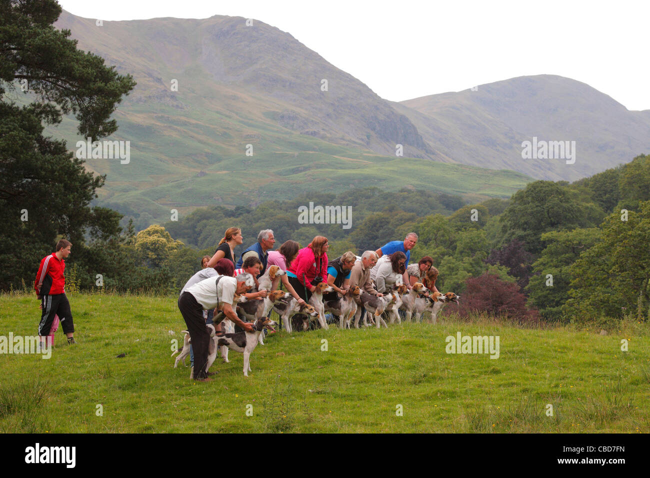 Releasing dog hi-res stock photography and images - Alamy