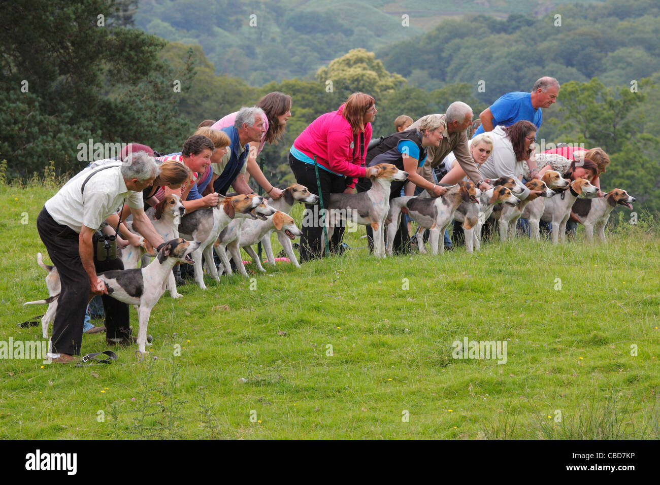 Releasing dog hi-res stock photography and images - Alamy