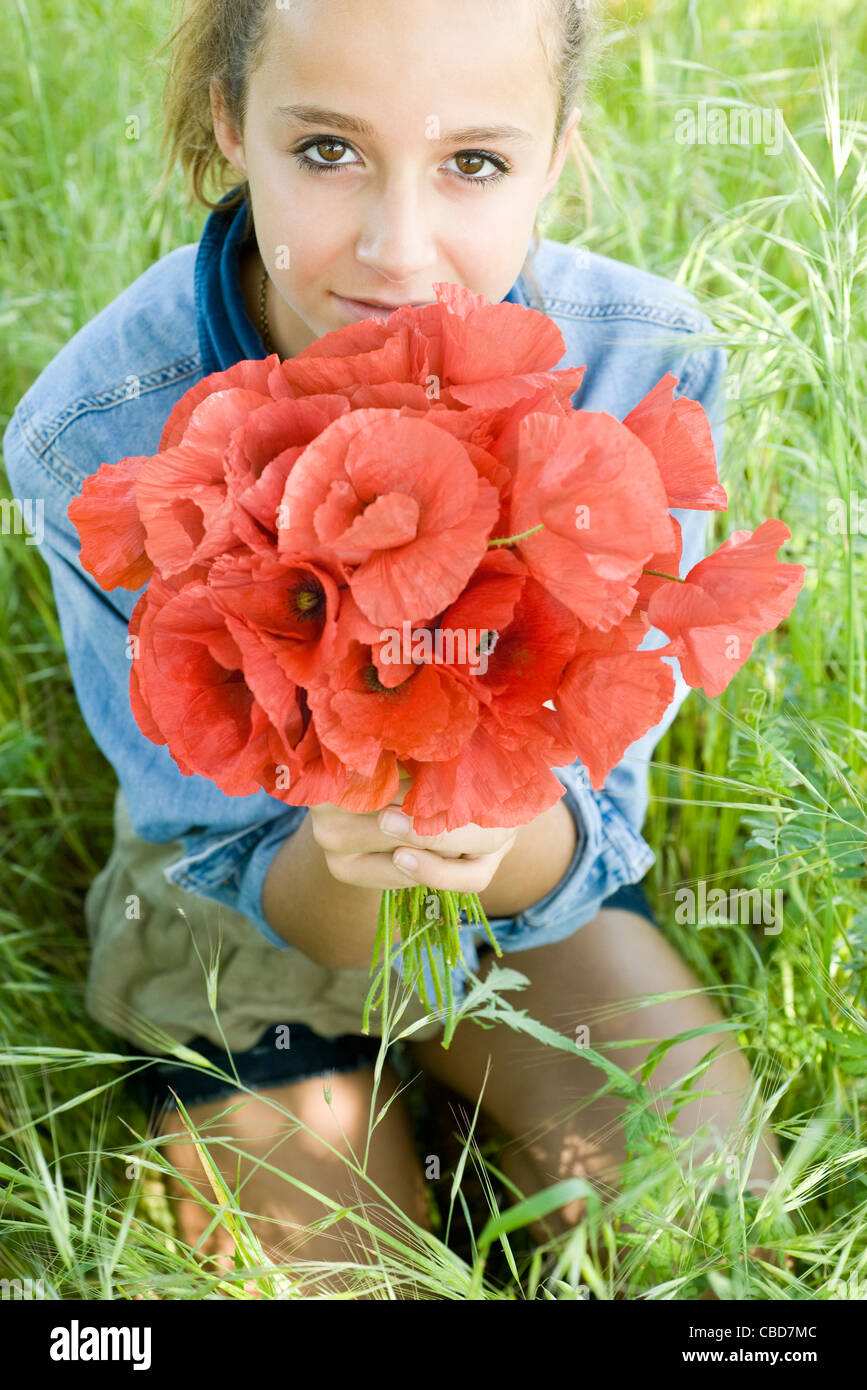 Fresh poppies hi-res stock photography and images - Alamy