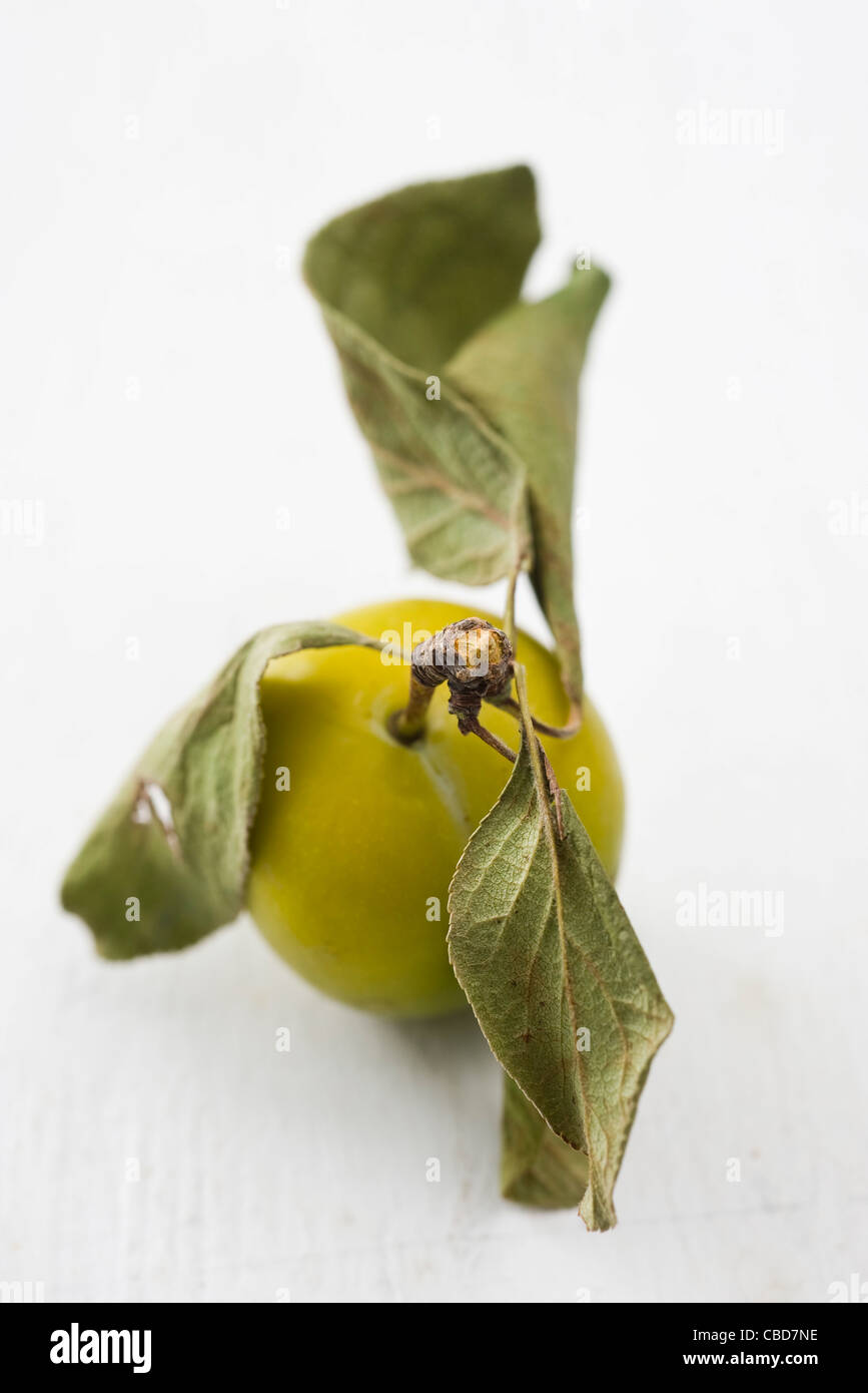 Plums images hi-res stock photography and images - Alamy