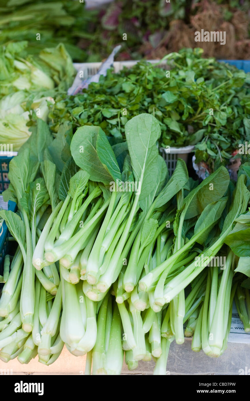 Chinese vegetable in market stall Stock Photo - Alamy